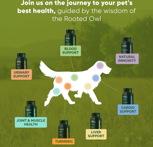 Out of Stock - ROOTED OWL Natural Joint & Muscle Health Capsules ...