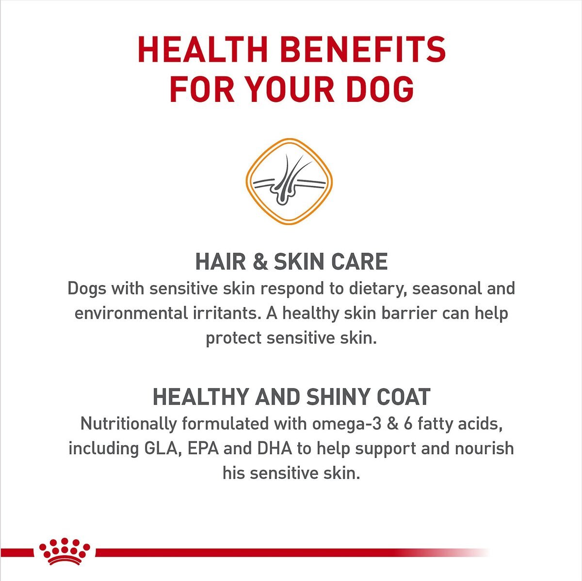 ROYAL CANIN Canine Care Nutrition Large Sensitive Skin Care Dry Dog ...