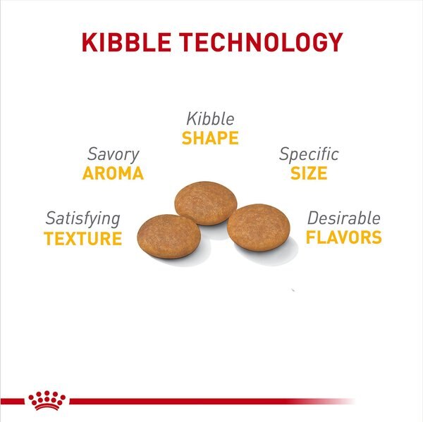 ROYAL CANIN Canine Care Nutrition Small Sensitive Skin Care Dry Dog ...