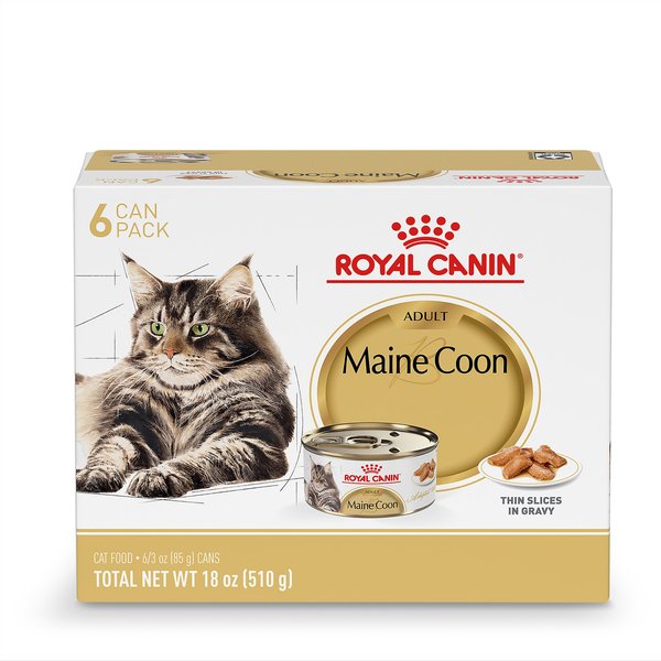 ROYAL CANIN Feline Health Nutrition Adult Instinctive Thin Slices in ...