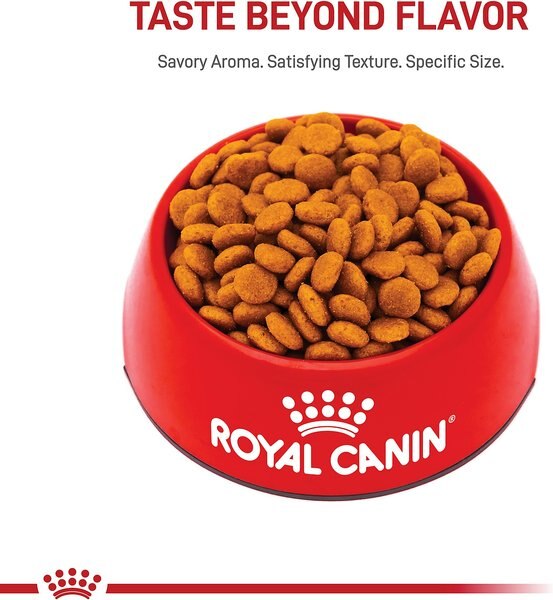 ROYAL CANIN Size Health Nutrition Medium Adult Dry Dog Food, 4-lb bag - Chewy.com