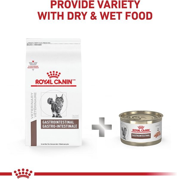 ROYAL CANIN VETERINARY DIET Gastrointestinal Loaf in Sauce Wet Cat Food ...