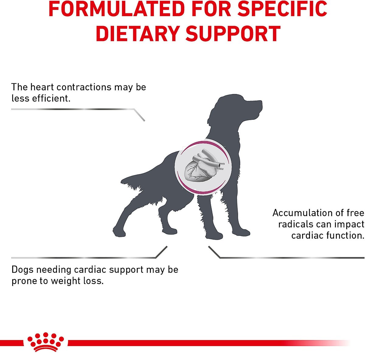 ROYAL CANIN VETERINARY DIET Adult Renal Support D Thin Slices in Gravy ...