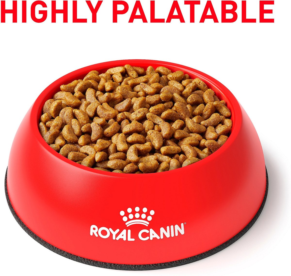 Royal Canin Veterinary Diet Renal Support S Dry Dog Food | Chewy (Free ...