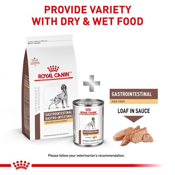 ROYAL CANIN VETERINARY DIET Gastrointestinal High Fiber Loaf in Sauce ...