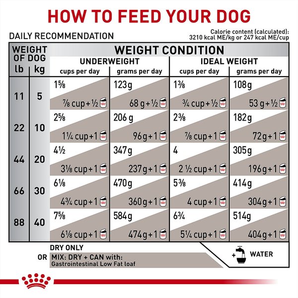ROYAL CANIN VETERINARY DIET Adult Gastrointestinal Low Fat Dry Dog Food ...