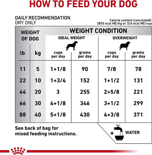 ROYAL CANIN VETERINARY DIET Adult Hydrolyzed Protein HP Dry Dog Food, 7 ...