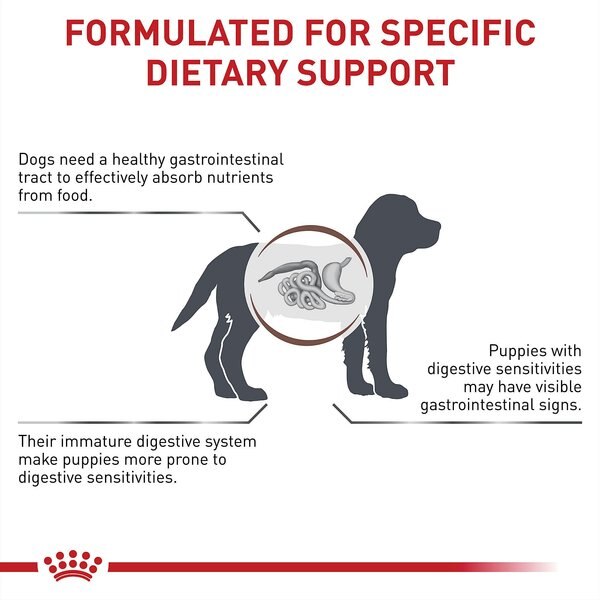 Royal Canin Veterinary Diet Gastrointestinal Puppy Dry Dog Food | Chewy ...