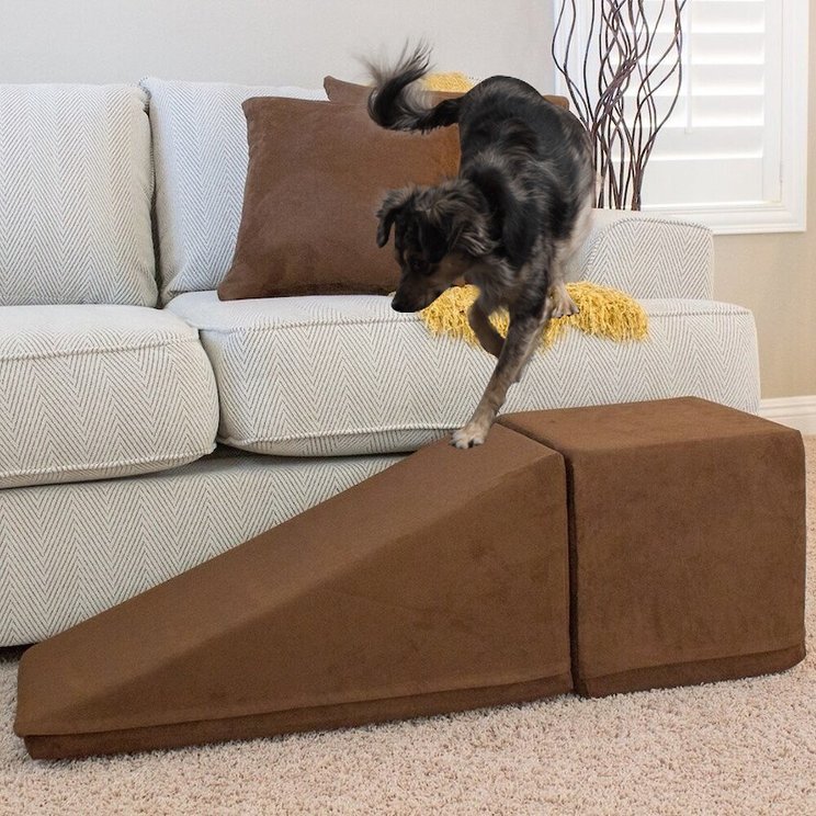 Dog Ramps - Free shipping | Chewy
