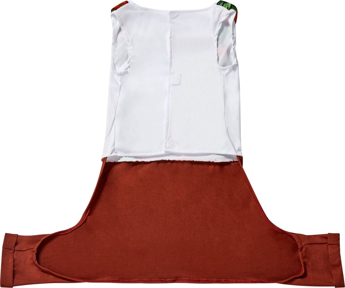 RUBIE'S COSTUME COMPANY Lederhosen Hound Dog Costume, Small - Chewy.com