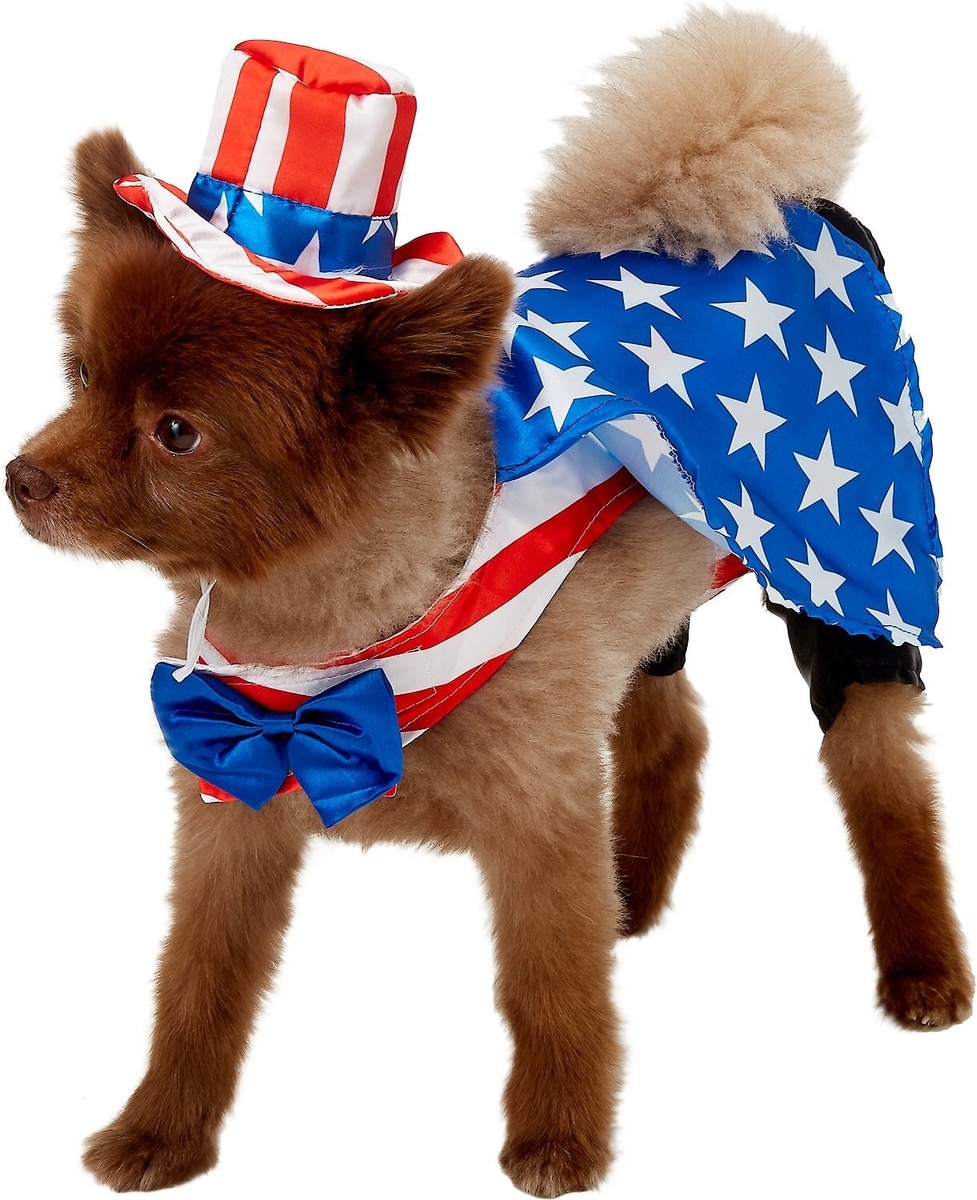 RUBIE'S COSTUME COMPANY Uncle Sam Dog Costume, Medium - Chewy.com