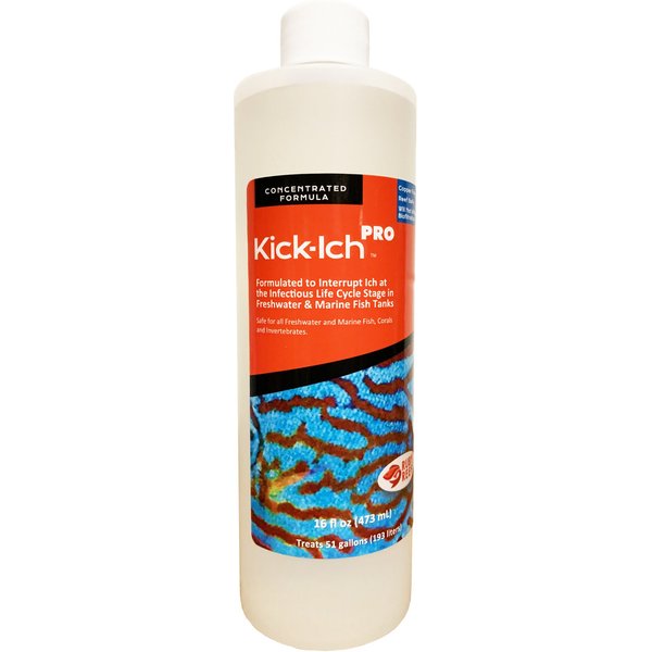 RUBY REEF Rally PRO Aquarium Water Treatment, 16-fl oz bottle - Chewy.com