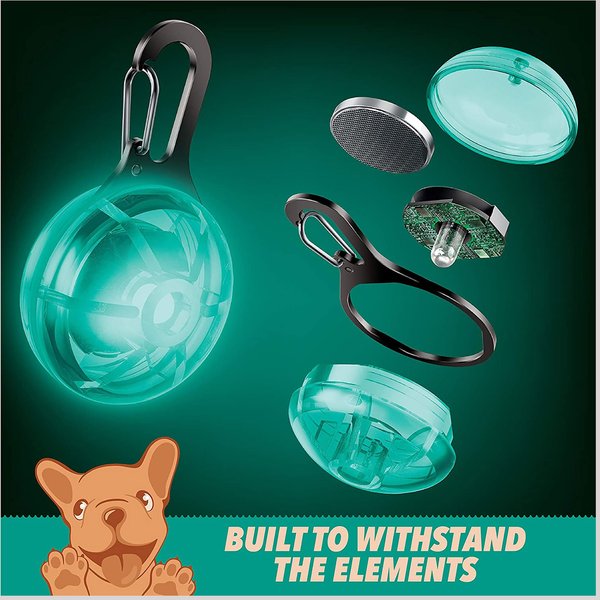 RUFF 'N RUFFUS Tangle-Free Retractable Dog Leash & Bonus Contents, Aqua ...