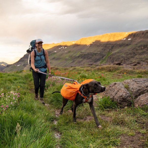 RUFFWEAR Approach Dog Backpack, Campfire Orange, Medium - Chewy.com