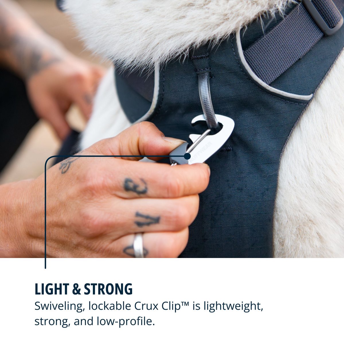 RUFFWEAR Front Range Polyester Dog Leash, Basalt Gray, 5-ft long, 3/4 ...