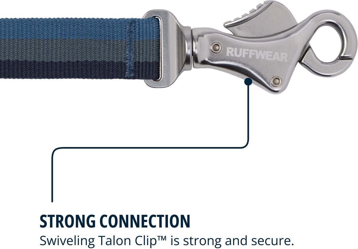 RUFFWEAR Roamer Polyester Running Traffic-Handle Dog Leash, Orion Blue ...