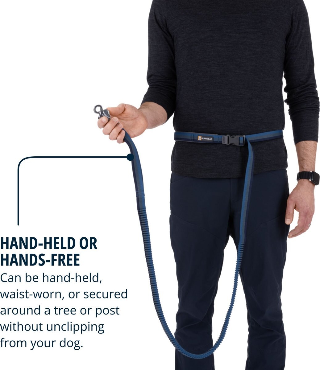 RUFFWEAR Roamer Polyester Running Traffic-Handle Dog Leash, Orion Blue ...