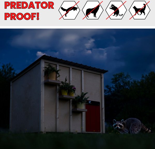 RUN CHICKEN Automatic Turkey Coop Door with Timer, Giant Red - Chewy.com