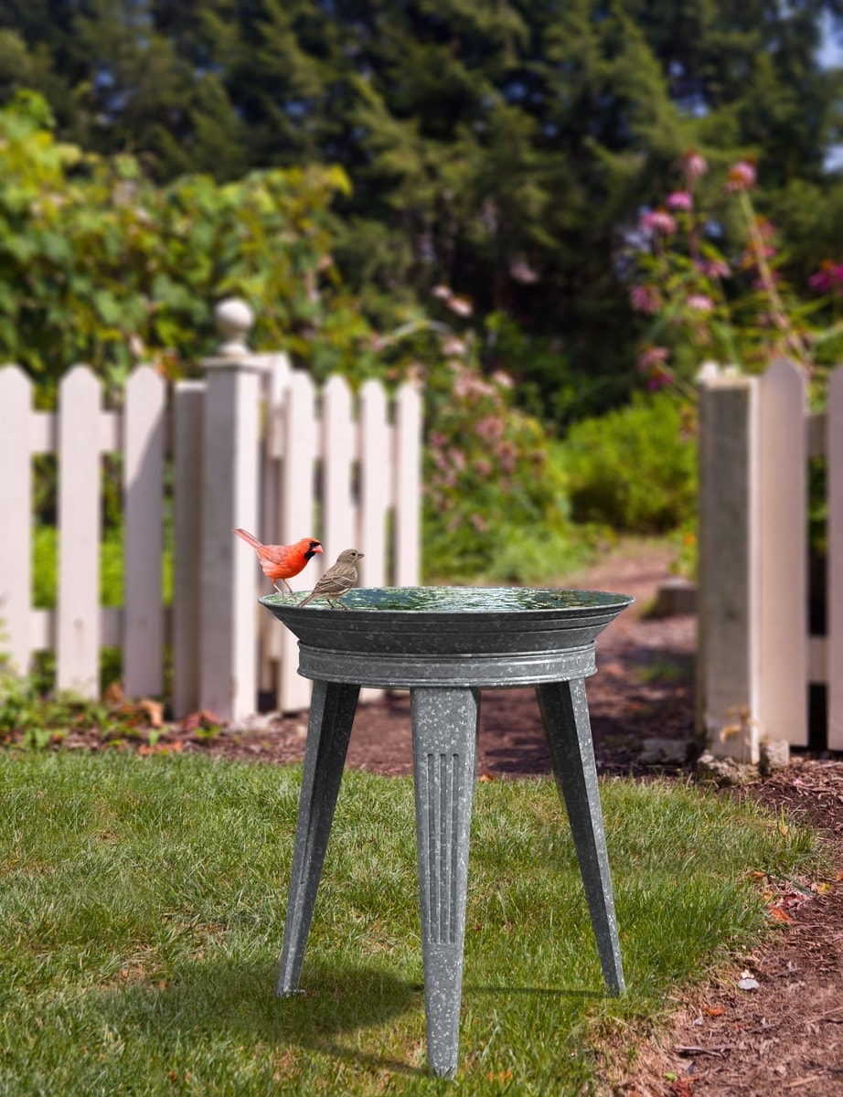 RUSTIC FARMHOUSE Vintage Galvanized Metal Bird Bath - Chewy.com