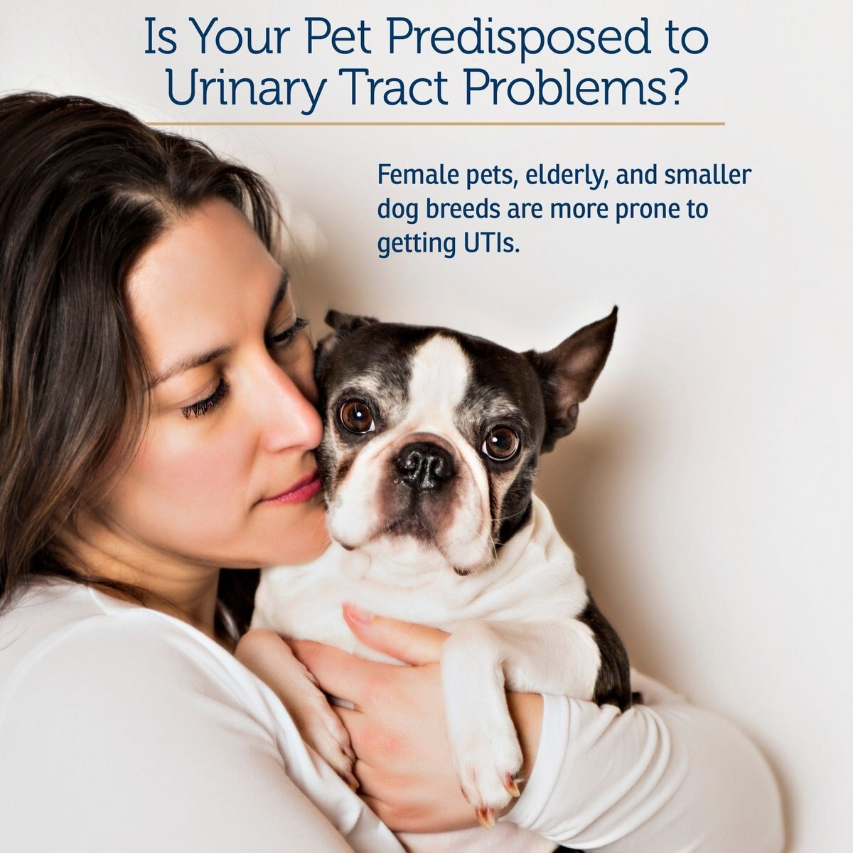 RX VITAMINS Cranberry Rx Capsules Urinary Supplement for Cats & Dogs ...