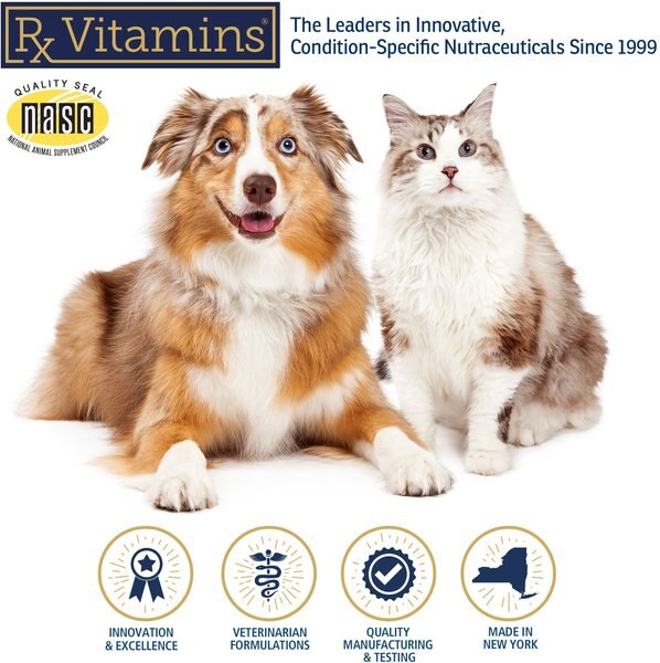 RX VITAMINS Cranberry Rx Capsules Urinary Supplement for Cats & Dogs ...