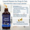 RX VITAMINS Hepato Chicken Flavored Liquid Liver Supplement for Cats ...