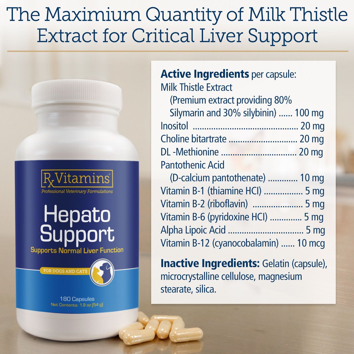 Rx Vitamins Hepato Support Dogs & Cat Supplement (Free Shipping) | Chewy