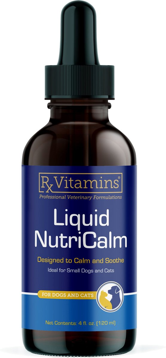 RX VITAMINS NutriCalm Liquid Calming Supplement for Cats & Dogs, 4-fl ...