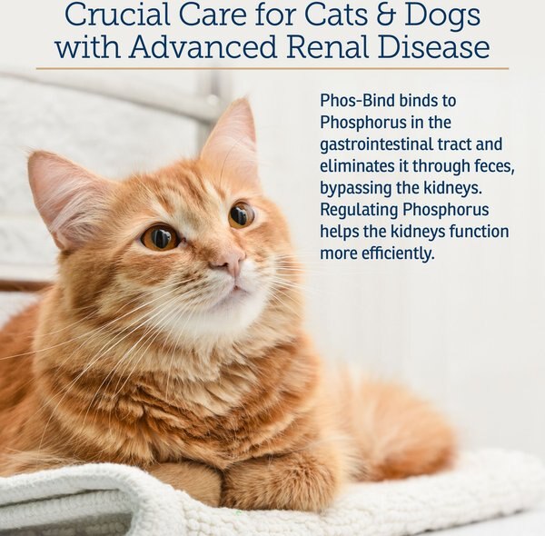 RX VITAMINS Phos-Bind Kidney Support Dog & Cat Supplement, 200-g ...