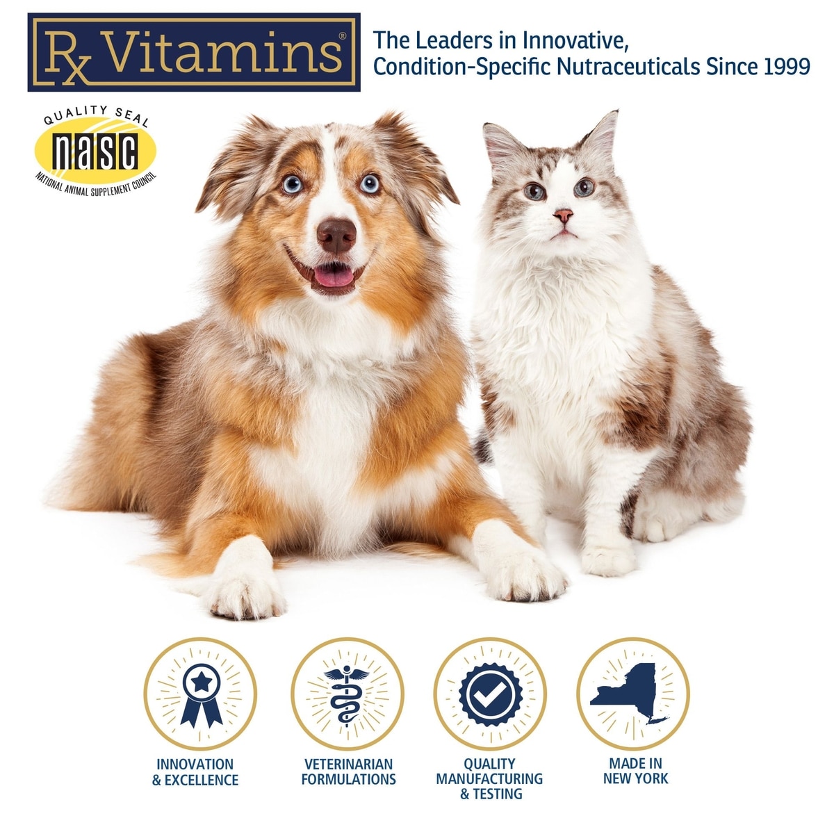 RX VITAMINS Phos-Bind Kidney Support Dog & Cat Supplement, 35-g bottle ...
