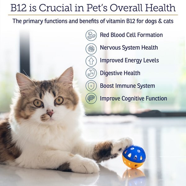 RX VITAMINS Rx B12 Liquid Digestive Supplement for Cats & Dogs, 4-fl oz ...