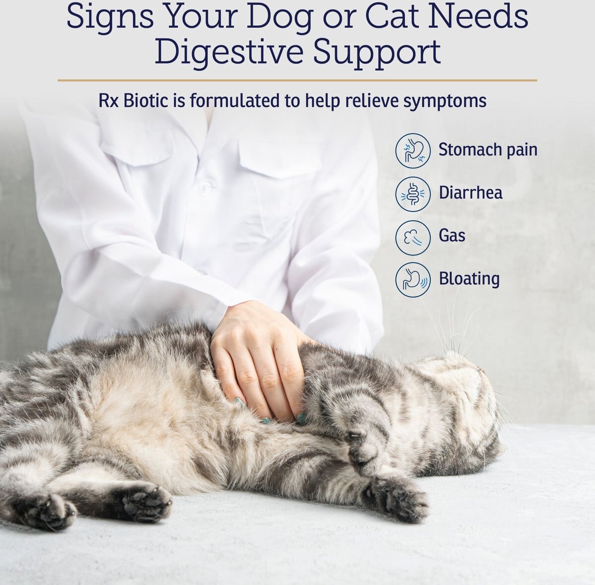 RX VITAMINS Rx Biotic Powder Digestive Supplement for Cats & Dogs, 2.12 ...