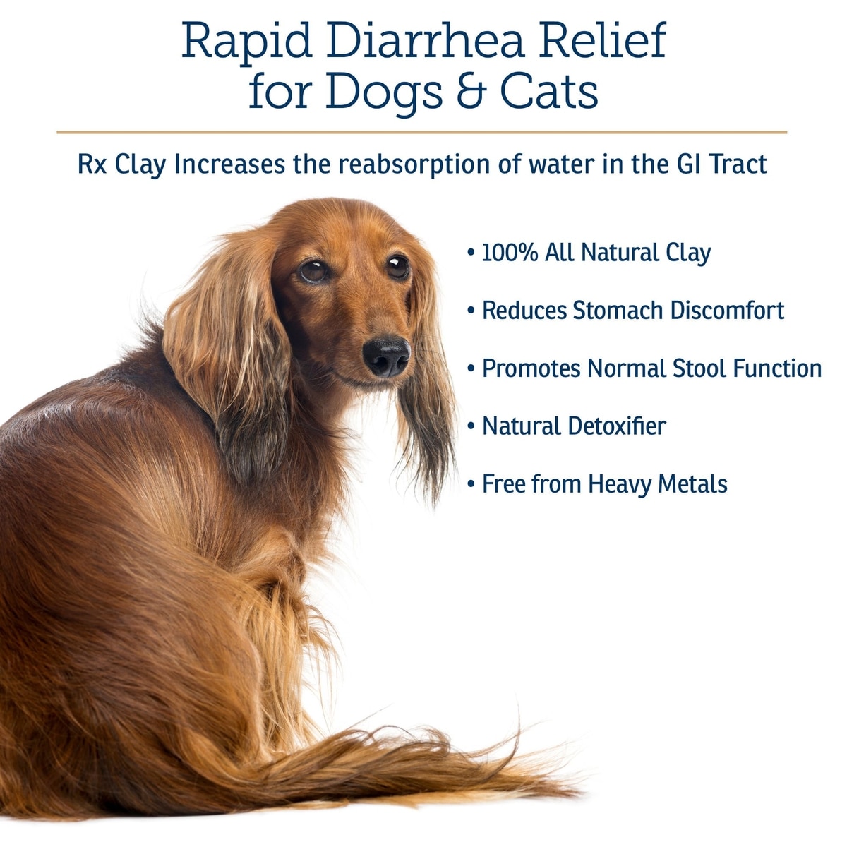 RX VITAMINS Rx Clay Powder Digestive Supplement for Dogs, 100-g - Chewy.com