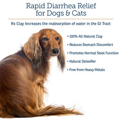 RX VITAMINS Rx Clay Powder Digestive Supplement for Dogs, 100-g - Chewy.com