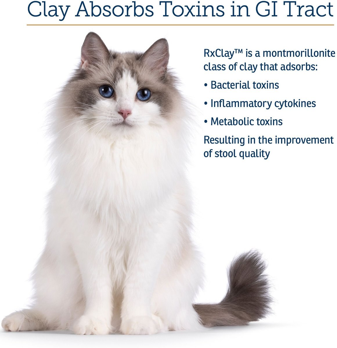 RX VITAMINS Rx Clay Powder Digestive Supplement for Dogs, 100-g - Chewy.com