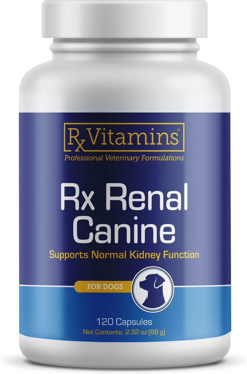 RX VITAMINS Rx Renal Capsules Kidney Supplement for Dogs, 120 count ...