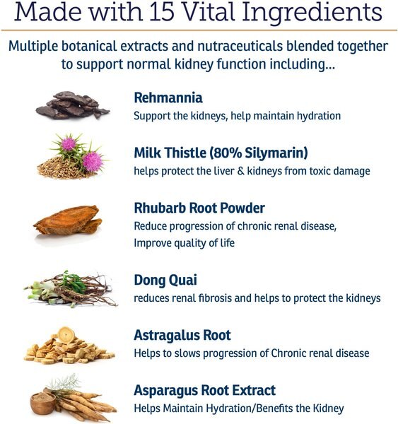 RX VITAMINS Rx Renal Capsules Kidney Supplement for Dogs, 120 count ...