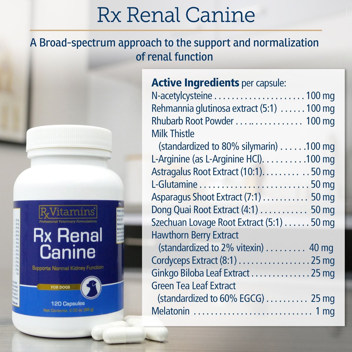 RX VITAMINS Rx Renal Capsules Kidney Supplement for Dogs, 120 count ...