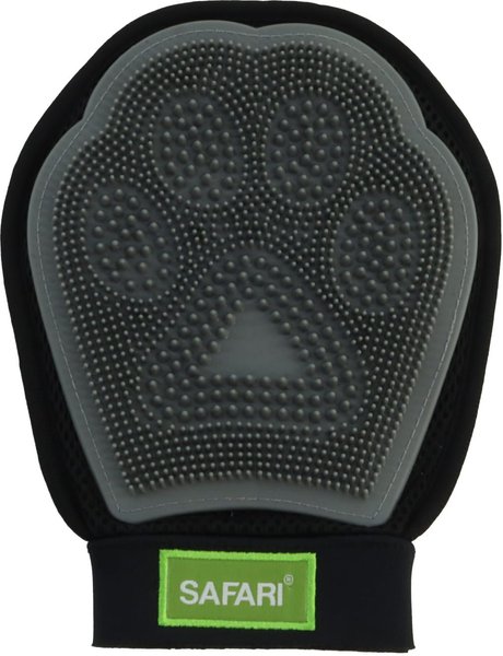 SAFARI Cat & Dog Grooming Mitt - Chewy.com