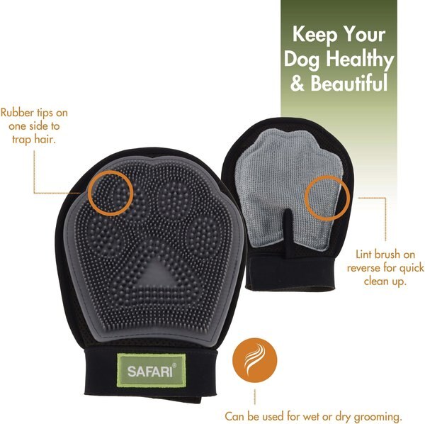 SAFARI Cat & Dog Grooming Mitt - Chewy.com