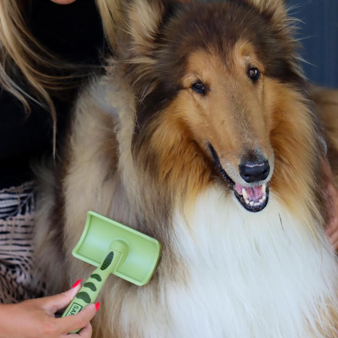 SAFARI Curved with Coated Tips for Long Hair Dog Firm Slicker Brush ...