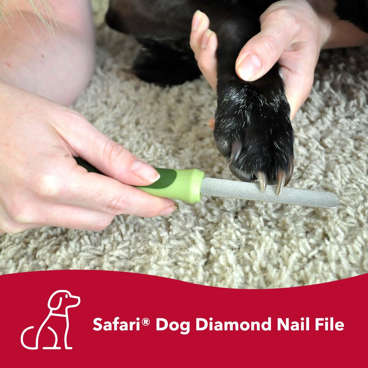 SAFARI Diamond Dog Nail File - Chewy.com