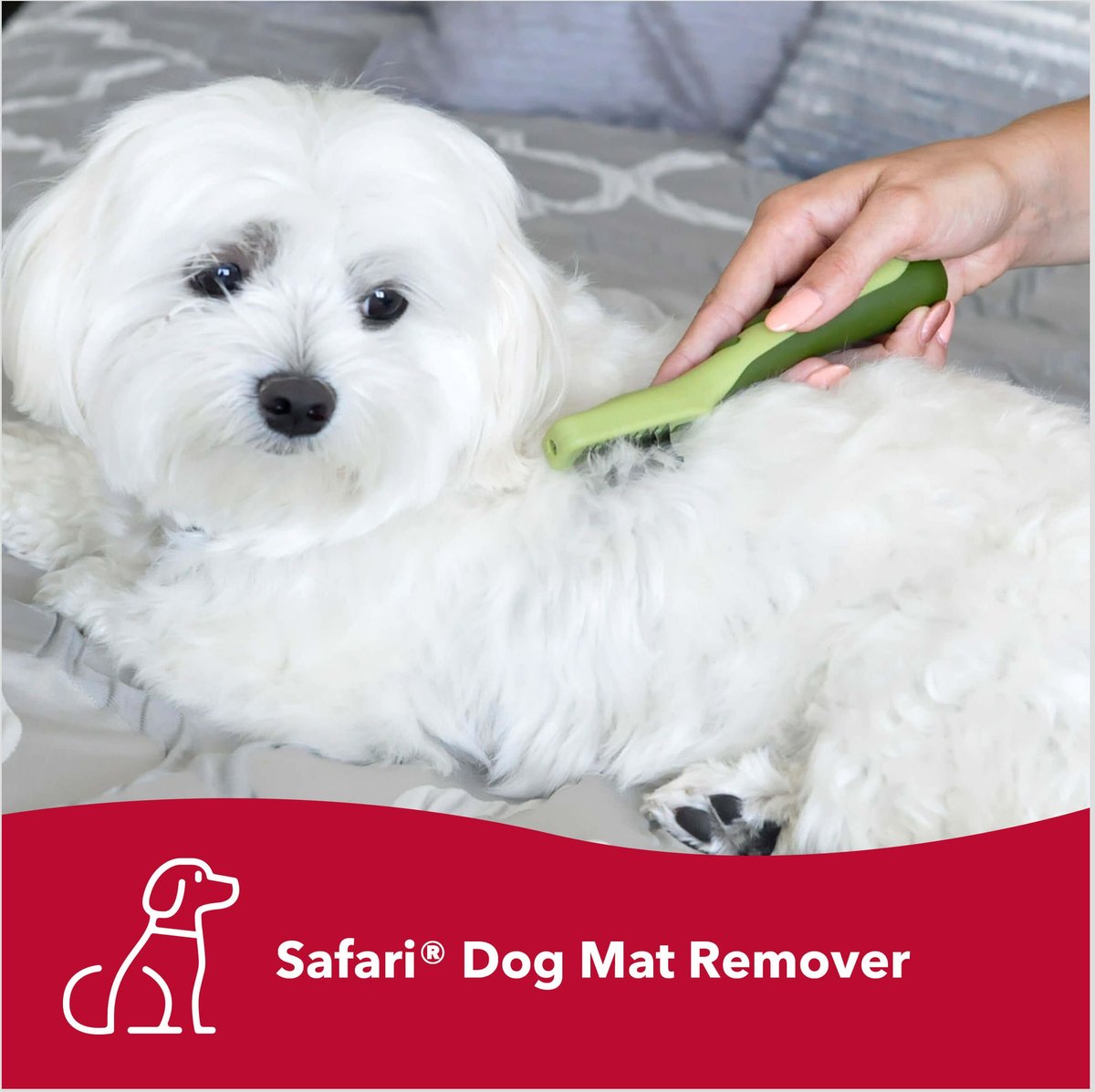 SAFARI Dog Mat Remover - Chewy.com