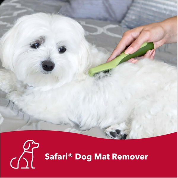 SAFARI Dog Mat Remover - Chewy.com