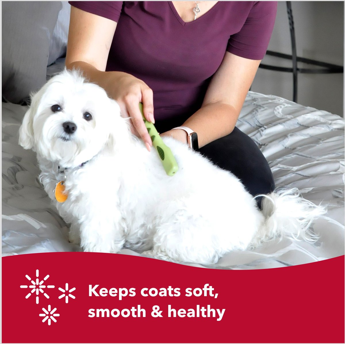 SAFARI Dog Mat Remover - Chewy.com