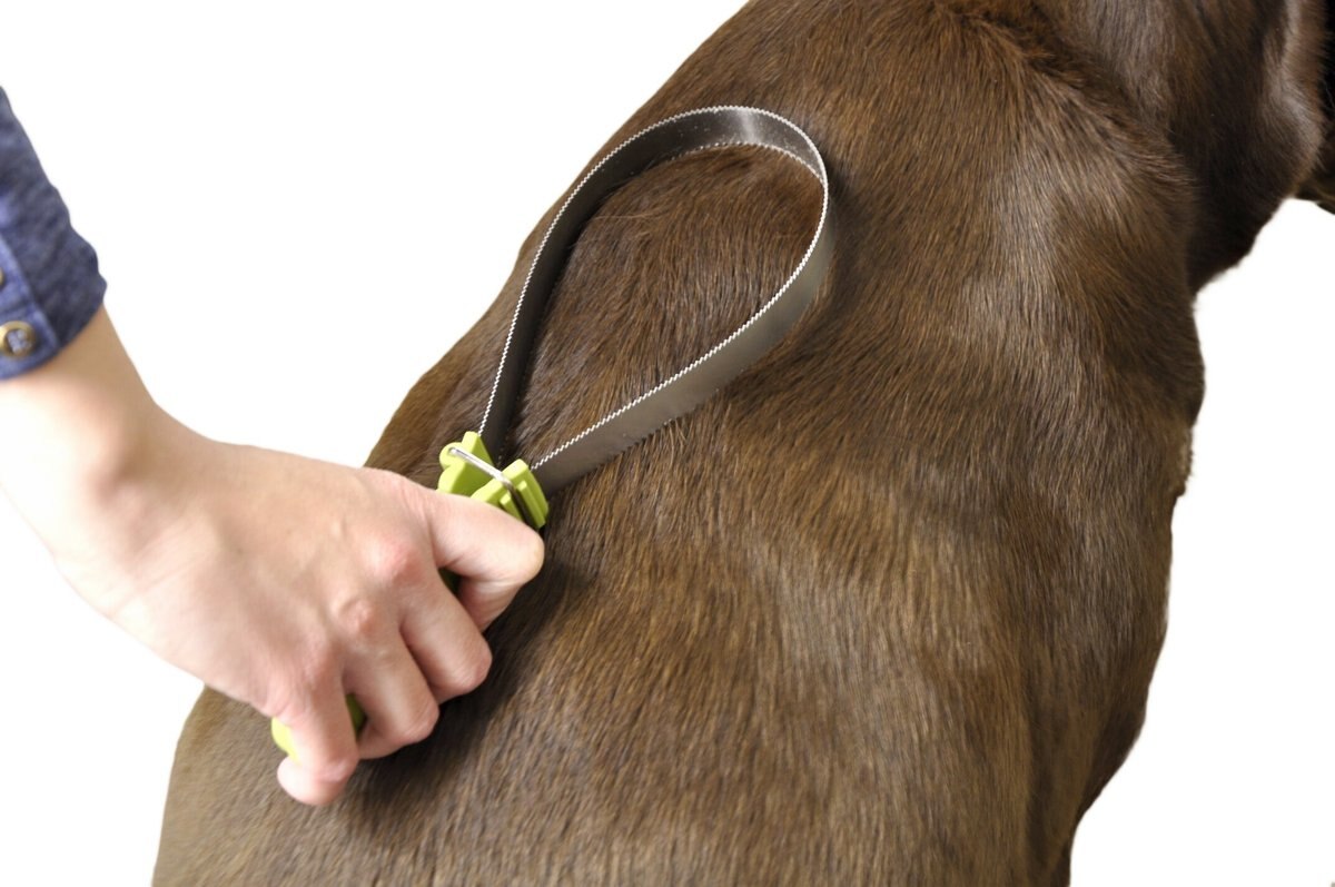 Safari Dual-Sided Shedding Blade Dog Grooming Tool (Free Shipping) | Chewy