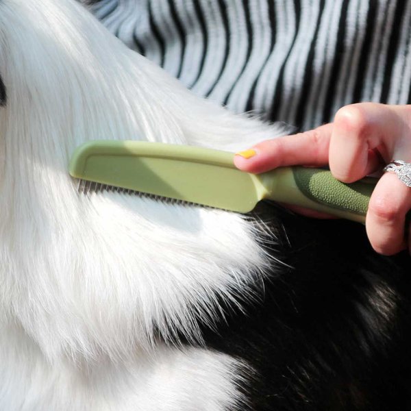 SAFARI Medium Dog Comb with Rotating Teeth - Chewy.com