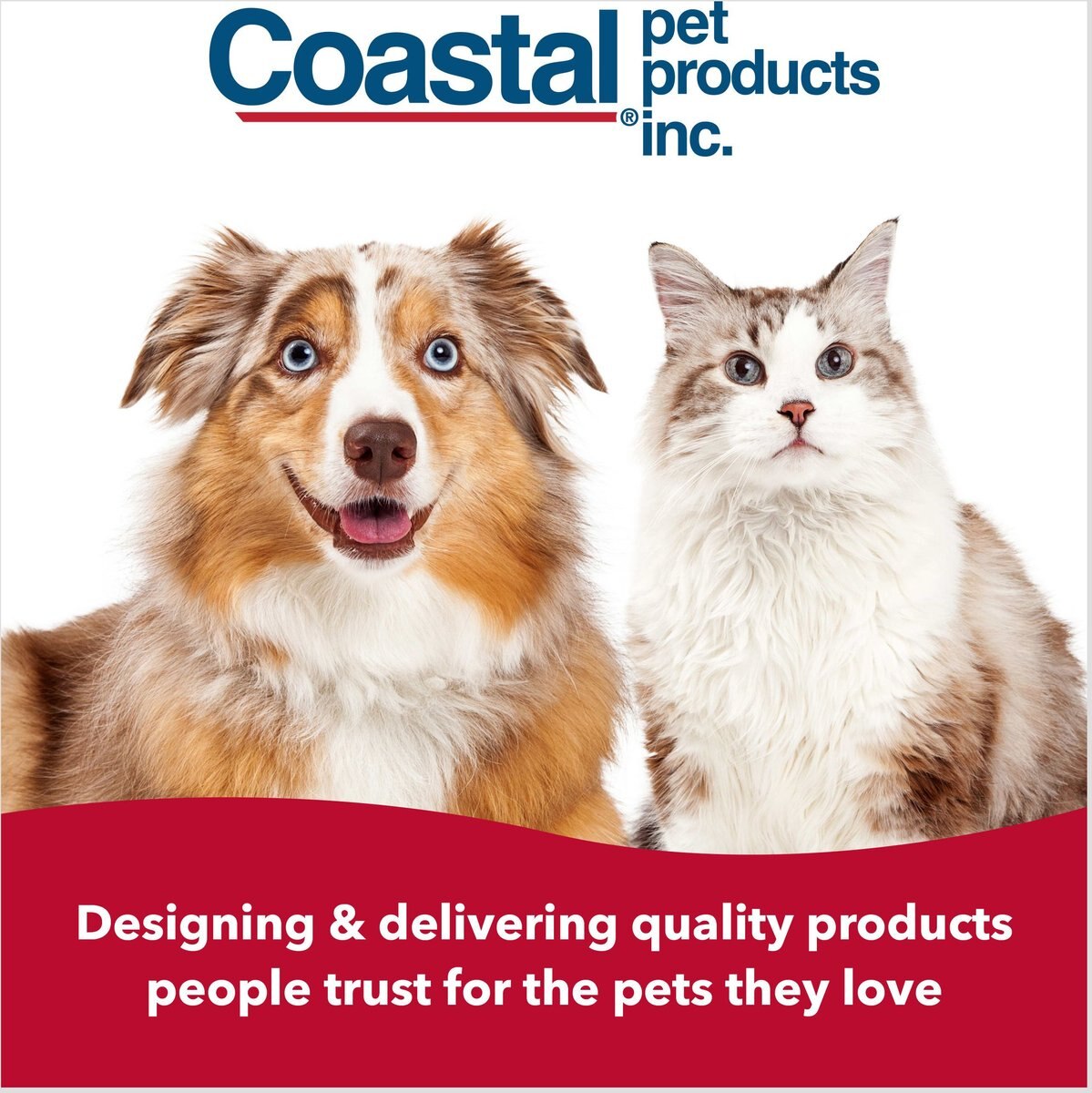 Safari Wire Pin Brush for Dogs | Chewy (Free Shipping)