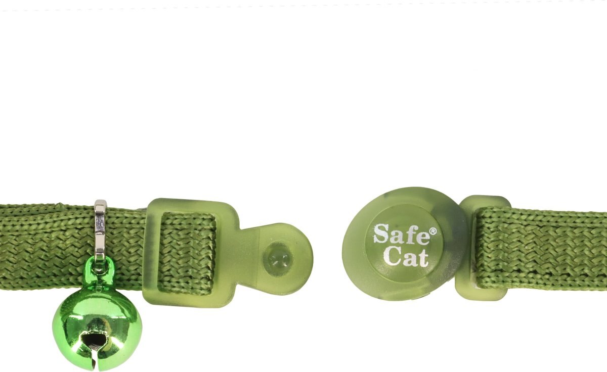SAFE CAT Snag-Proof Polyester Breakaway Cat Collar with Bell, Palm ...