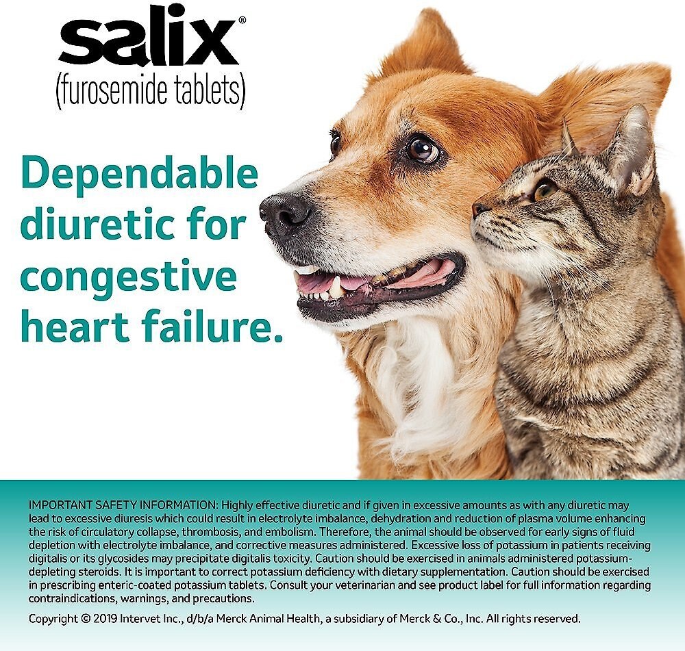 SALIX (Furosemide) Tablets for Dogs & Cats, 50-mg - Easy Refills | Chewy Rx